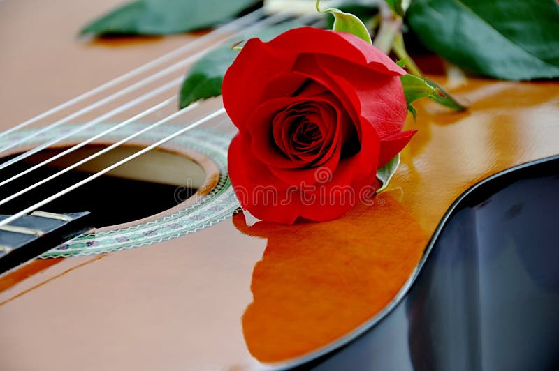 Classical guitar and rose. stock image. Image of song - 9327573