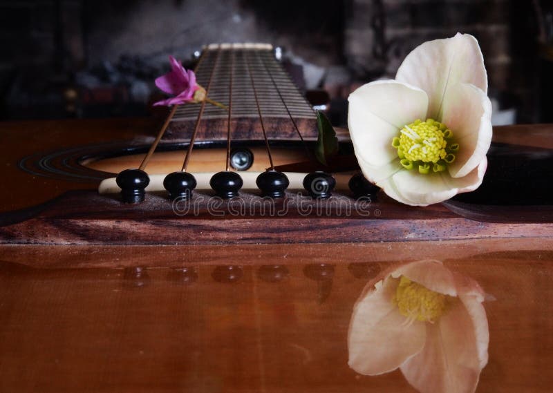 Classical Guitar String and Flowers Stock Photo - Image of music ...