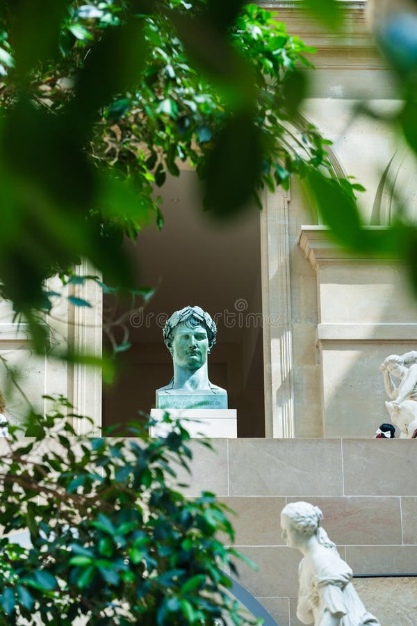 Classical Marble Busts in Museum Atrium Stock Image - Image of head ...
