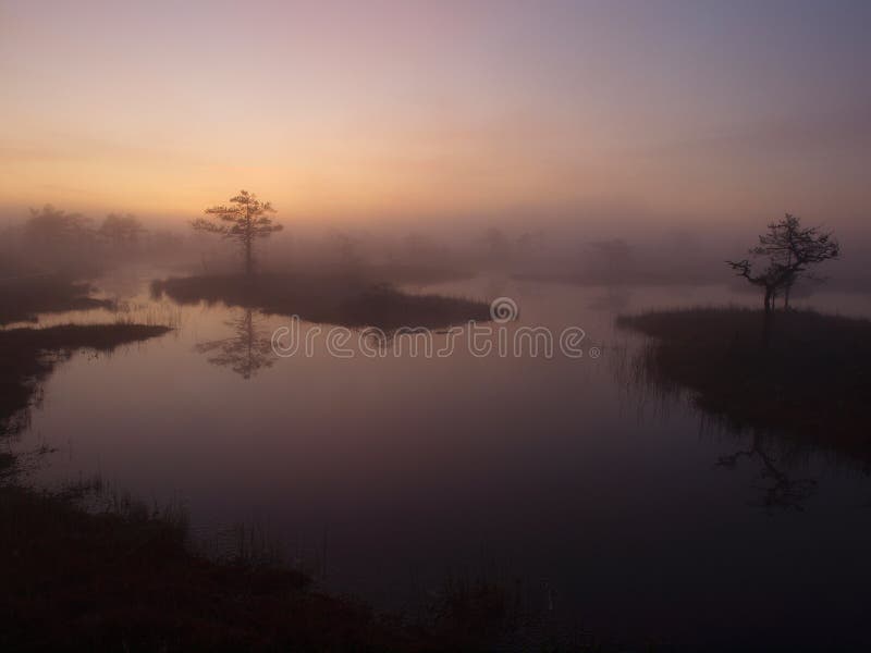 Classical Marsh Landscape, Early Morning Stock Photo - Image of dusk ...