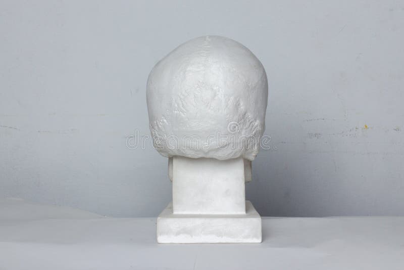 Classical Plaster Head Skull Bust Against a White, Old, Worn Wall ...