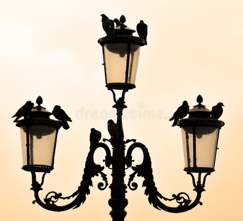 Classical Street Light in the Lagoon of Venice Stock Photo - Image of ...