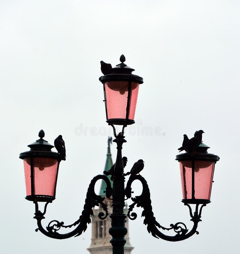 Classical Street Light in the Lagoon of Venice Stock Image - Image of ...