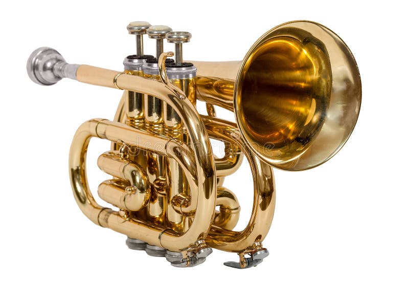 Cornet musical instrument. stock image. Image of instrument - 9583671