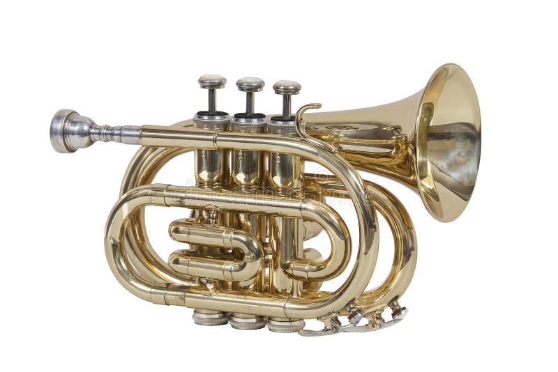 Cornet musical instrument. stock image. Image of instrument - 9583671