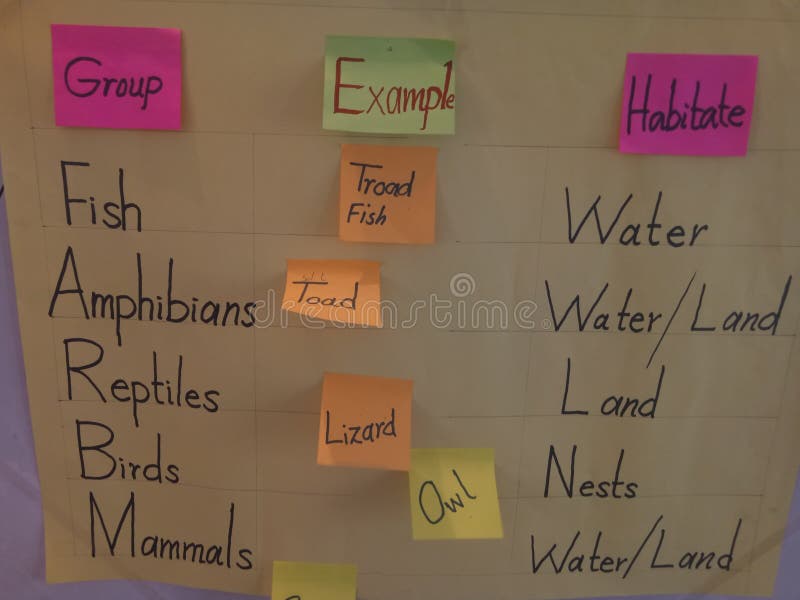 Classification of Animals According To Their Habitat Stock Image ...