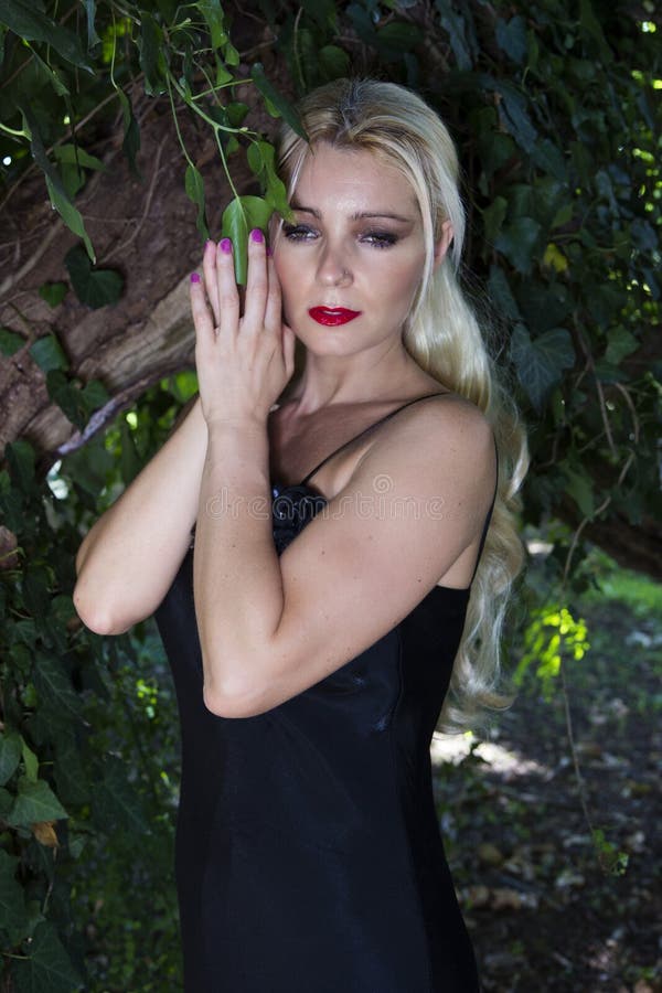 Classy Black stock image. Image of caucasian, elegance - 42797367