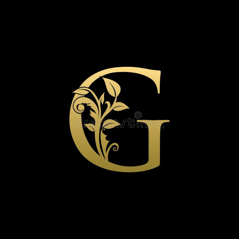 Classy Gold Leaf G Letter Logo Stock Illustration - Illustration of ...