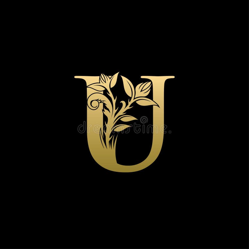 Classy U Letter Gold logo stock illustration. Illustration of classy ...