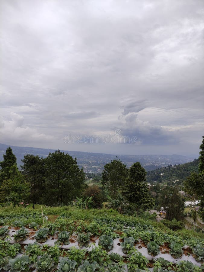 Claud and Tree in the Mountain Stock Photo - Image of mountain, wave ...