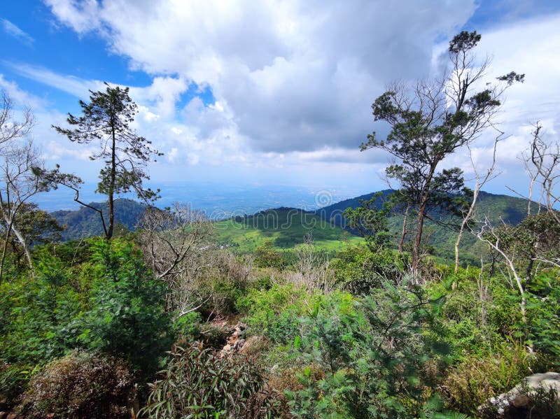 Claude Nature Jugle Amazing Mountain Stock Image - Image of claude ...