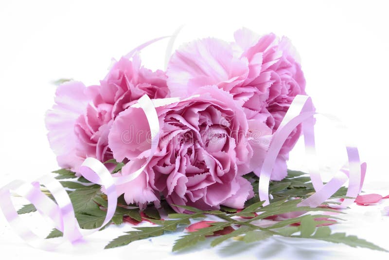 Claveles de boda imagen de archivo. Imagen de flor, clavel - 121145