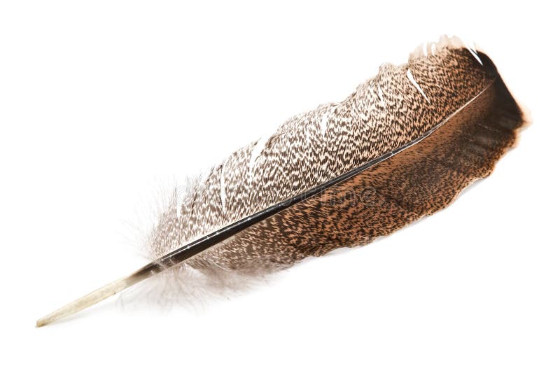 Clavette 1 photo stock. Image du décoration, léger, clavette - 2050292