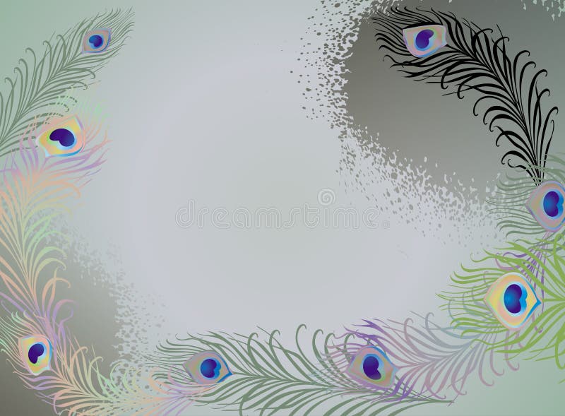 Clavette de paon illustration stock. Illustration du fond - 65659530