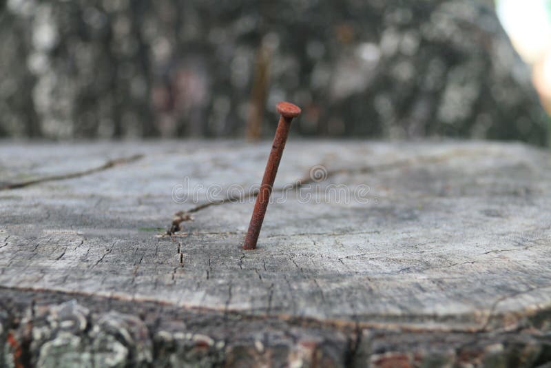 Clavo En La Superficie De Madera, Foto Horizontal Foto de archivo ...