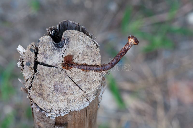 Clavo oxidado en madera foto de archivo. Imagen de oxidado - 29621798