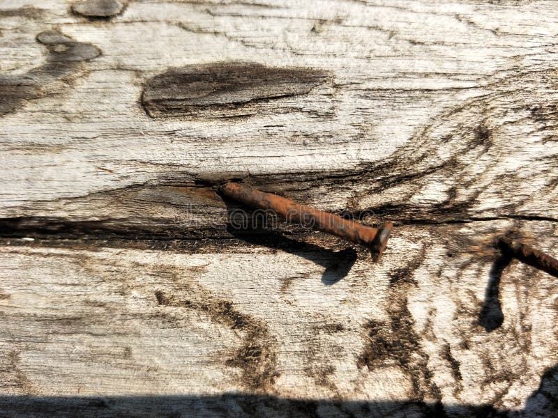 Clavo oxidado en madera imagen de archivo. Imagen de extracto - 10970441