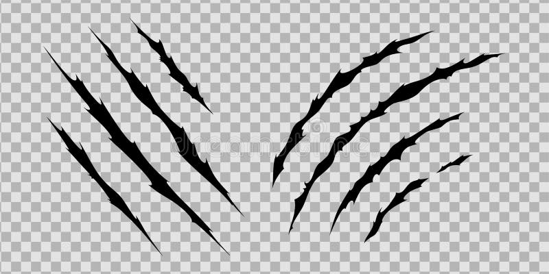 Claw Scratches of Wild Animal. Cat Scratches Marks Isolated in ... Claw Scratches of Wild Animal. Cat Scratches Marks Isolated in ...