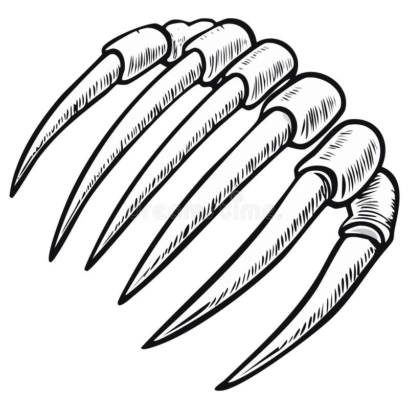 Claws Design Element Cartoon Illustration Concept of Sharp Pointed ...