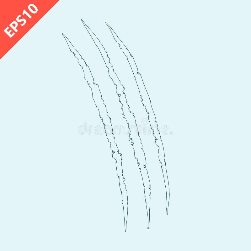 Claws Scratches Design Vector Flat Isolated Illustration Stock Vector ...