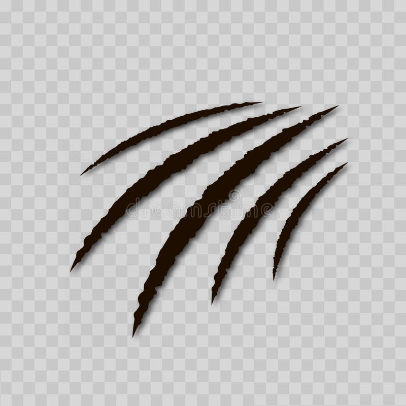 Claws Scratches Isolated on Transparent Background. Claws Scratching ...