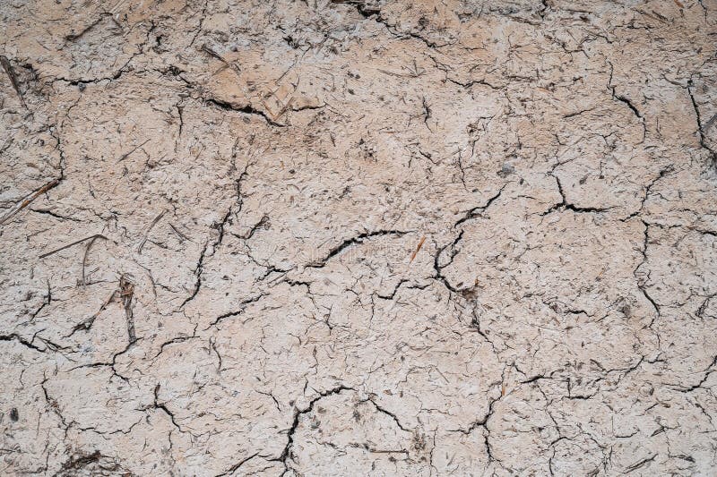 1,081 Texture Mud Straw Stock Photos - Free & Royalty-Free Stock Photos ...