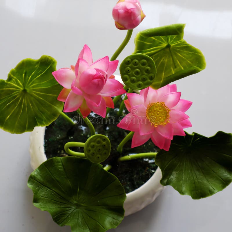 Clay Art Pink Lotus Flower Pot Stock Image Image Of Leaf Abstract