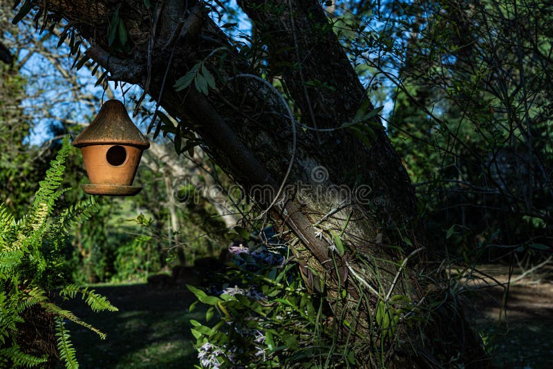 Clay bird house. stock photo. Image of natural, garden - 259690010
