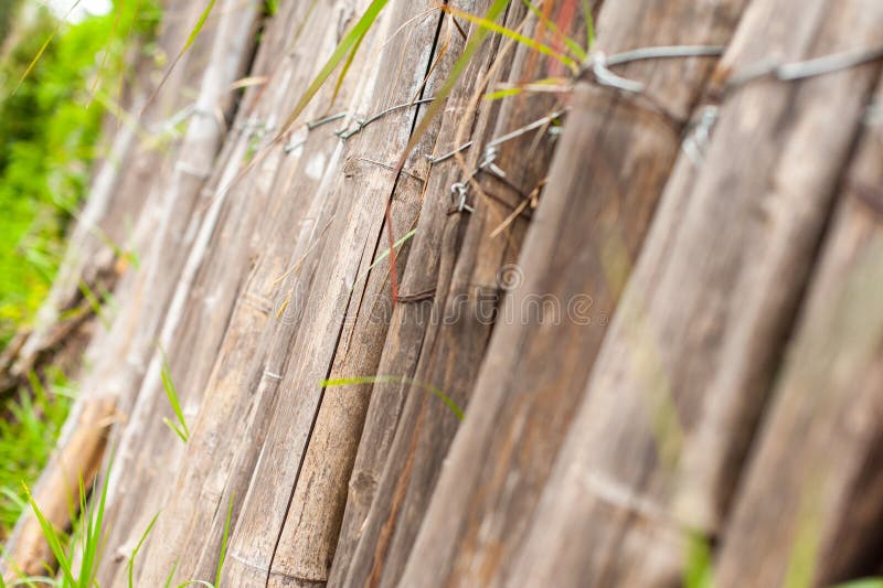 Rustic bamboo fence stock image. Image of fence, markets - 190502393