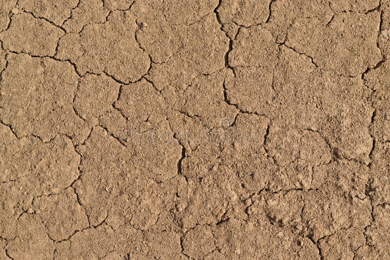 Compacted clay soil stock photo. Image of mire, brown - 97975192