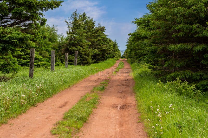 Clay Dirt Road En PEI Rural Imagen de archivo - Imagen de nadie ...
