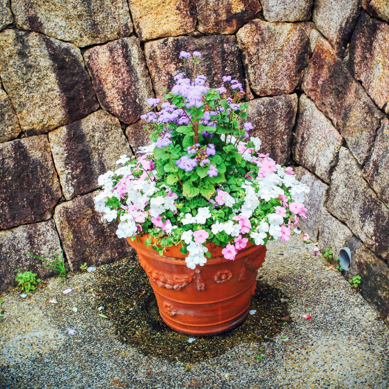 336 Clay Plot Stock Photos - Free & Royalty-Free Stock Photos from ...