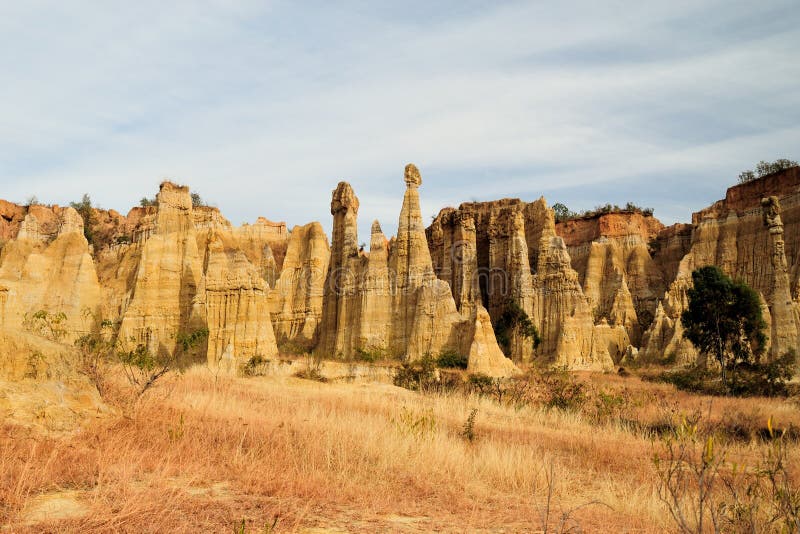 Clay forest stock image. Image of field, desert, forest - 29089663