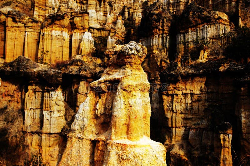 Clay Forest Picture. Image: 4701576