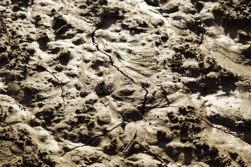 Clay land texture stock photo. Image of backdrop, dryness - 91798736
