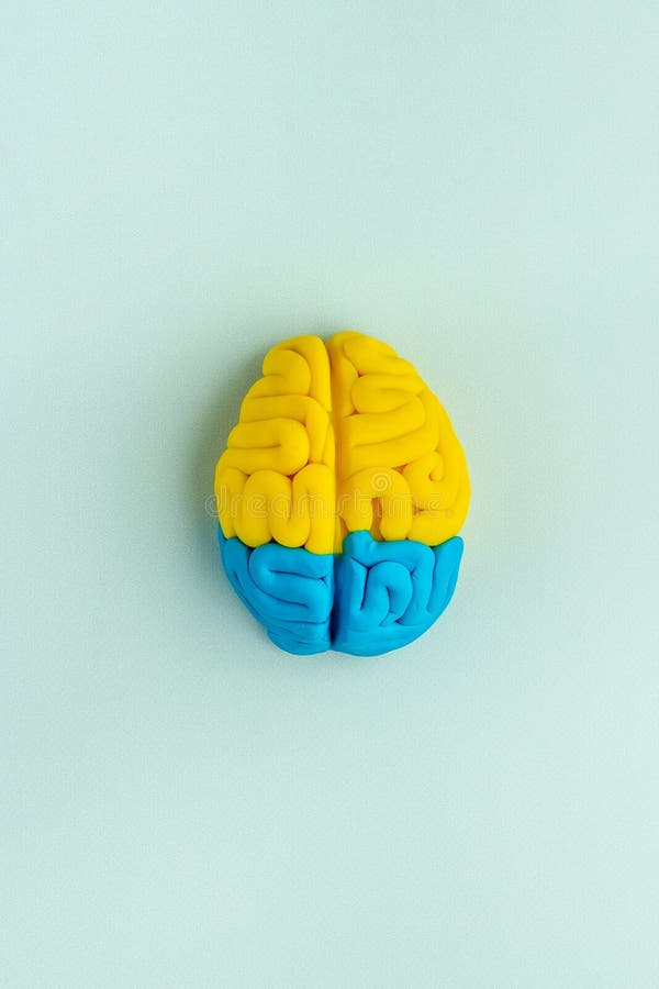 Clay Model of Human Brain. Mental Health Bckground, Top View Stock ...