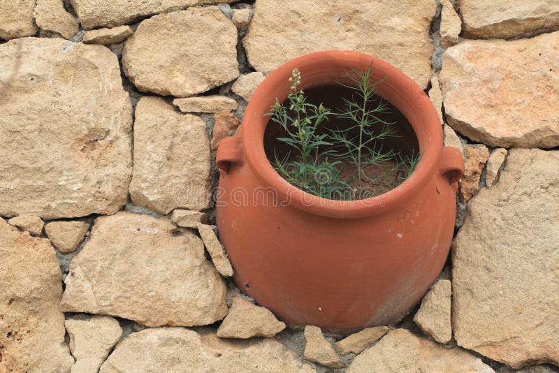 Clay Pot Flower in the Stone Wall. View from Above Stock Image - Image ...