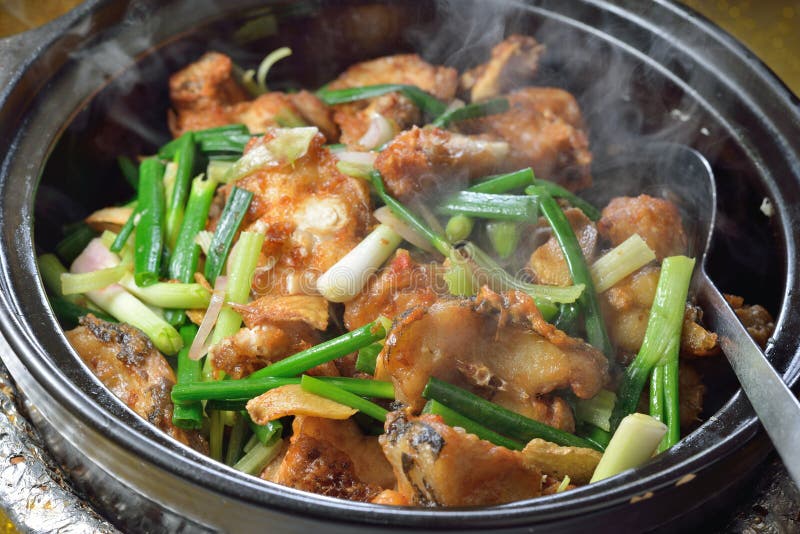 Clay pot steam Fish stock photo. Image of chinese, pork - 69077722