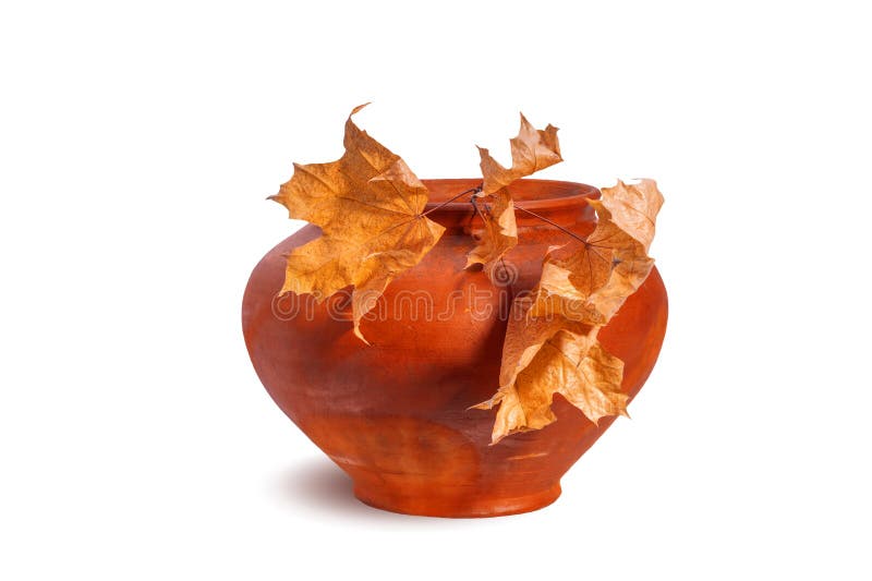 Clay Pot with Yellow Maple Leaves Isolated on White Background Stock ...