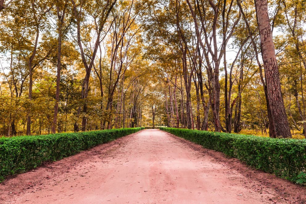 Clay road stock image. Image of grass, high, park, glass - 28909719