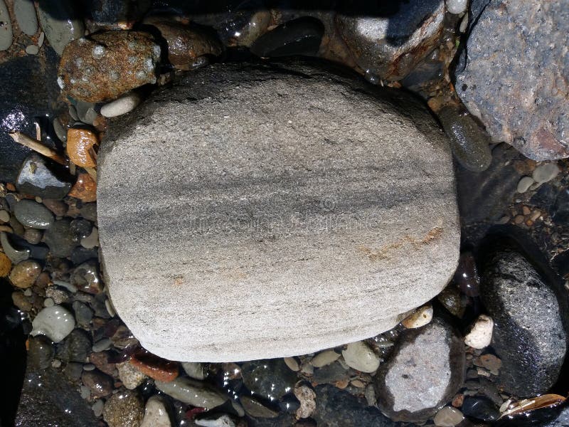 Clay rock in the river stock photo. Image of leaf, geology - 214586576