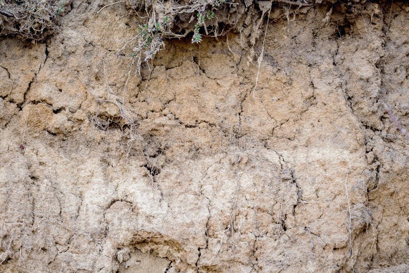 Texture of Clay Rock in Quarry. Clay is a Building Material_ Stock ...