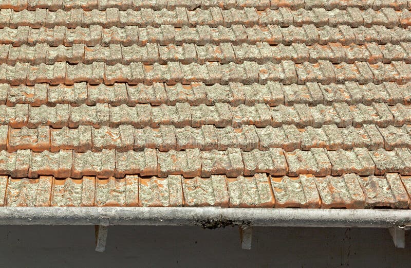Clay Roof Tiles Covered in Korstmos Met Schilgoten Stock Foto - Image ...