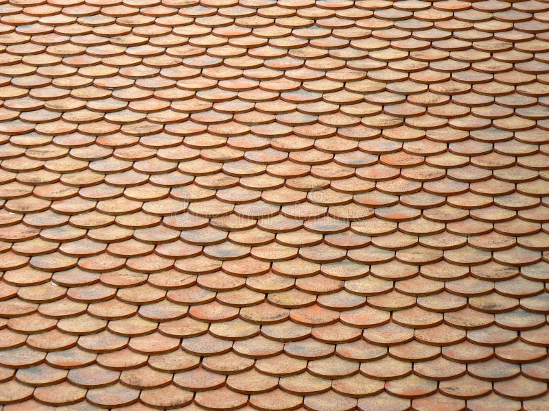 Clay roof tiles stock photo. Image of building, site - 264172560