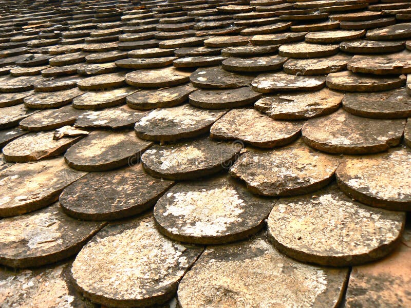 Clay roof tiles stock photo. Image of waterproofing - 264172572
