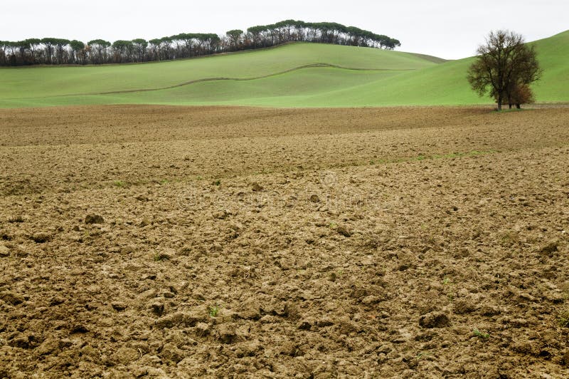 Clay Soil Field with Green Background in Tuscany Stock Photo - Image of ...