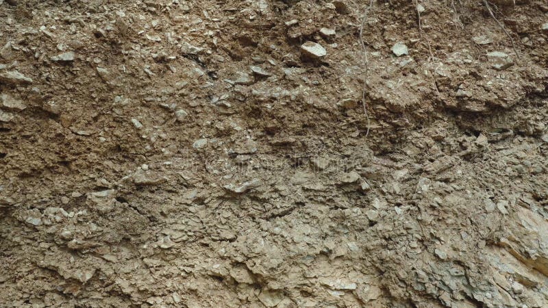 Clay-stony Soil in Section. the Texture of the Earth S Crust Stock ...