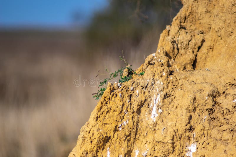 Clay Texture on the Edge of a Cliff Stock Image - Image of mountain ...