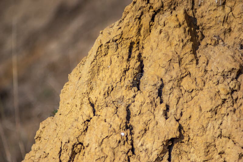 Clay Texture on the Edge of a Cliff Stock Image - Image of coastline ...