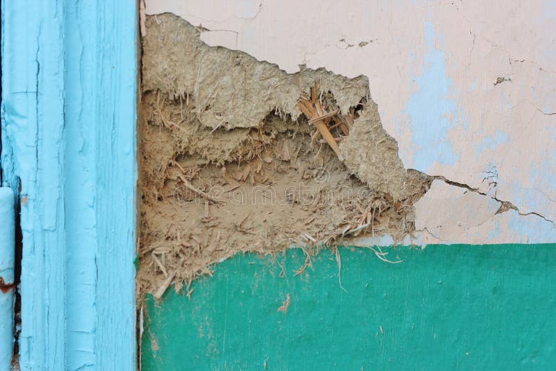 Clay and wheat crack stock photo. Image of straw, ecological - 77133176